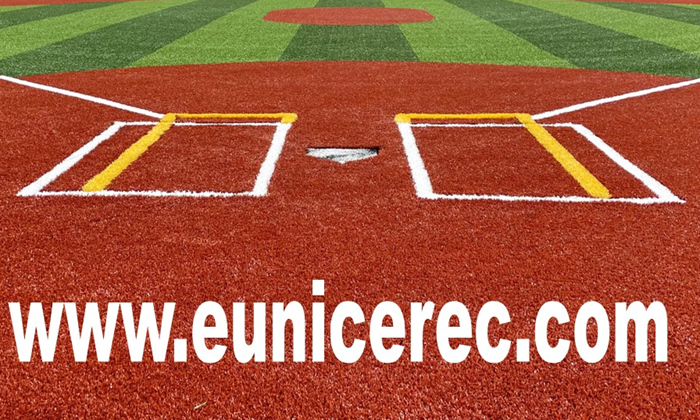 Home [eunicerec.com]